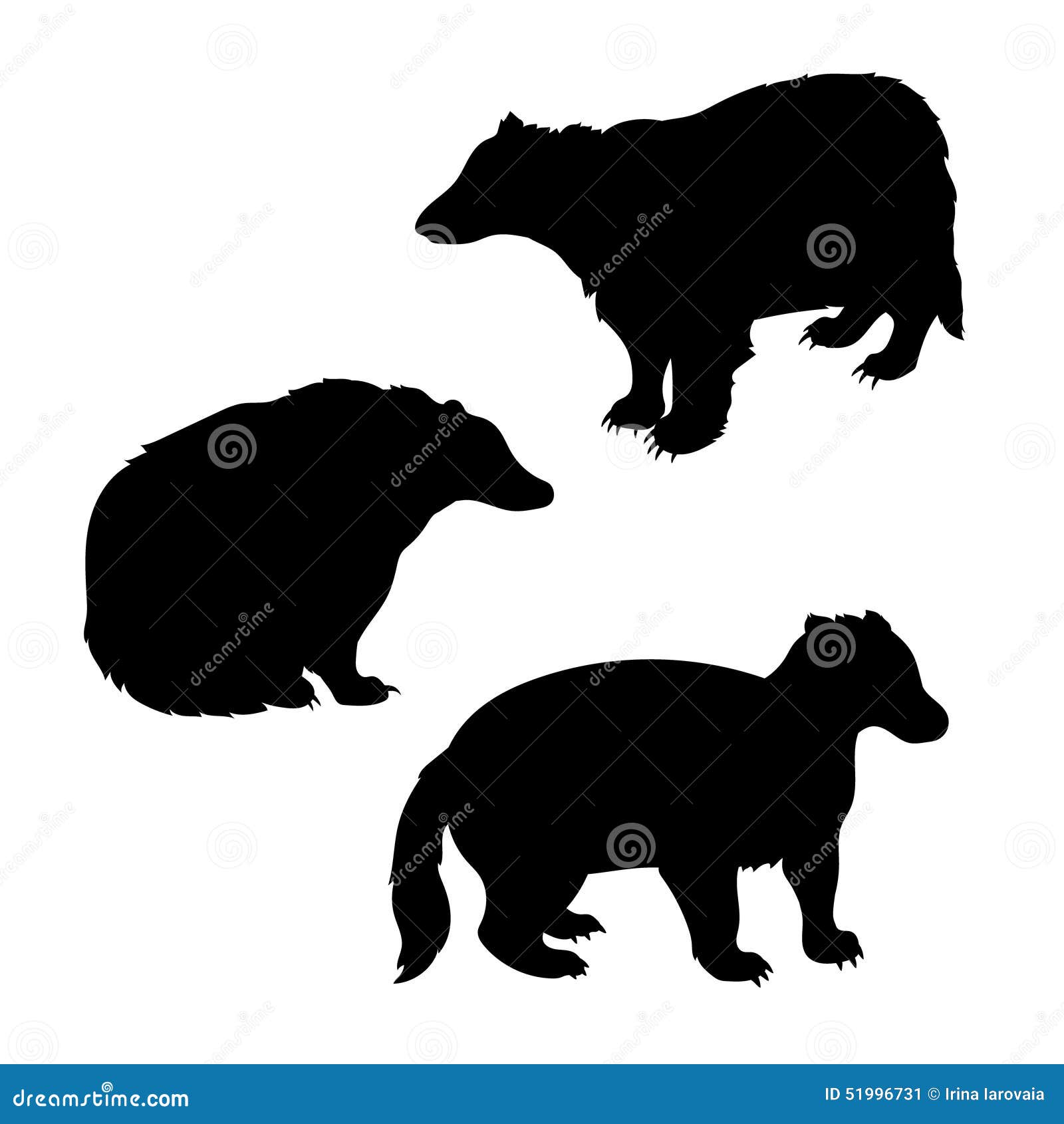 Vector Determinado Del Tejón Ilustración del Vector - Ilustración de ...