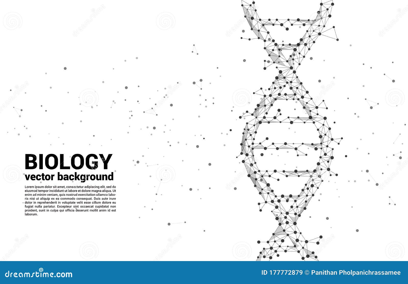 Vector DNA Genetic Structure from Dot Connect Line Polygon. Stock ...