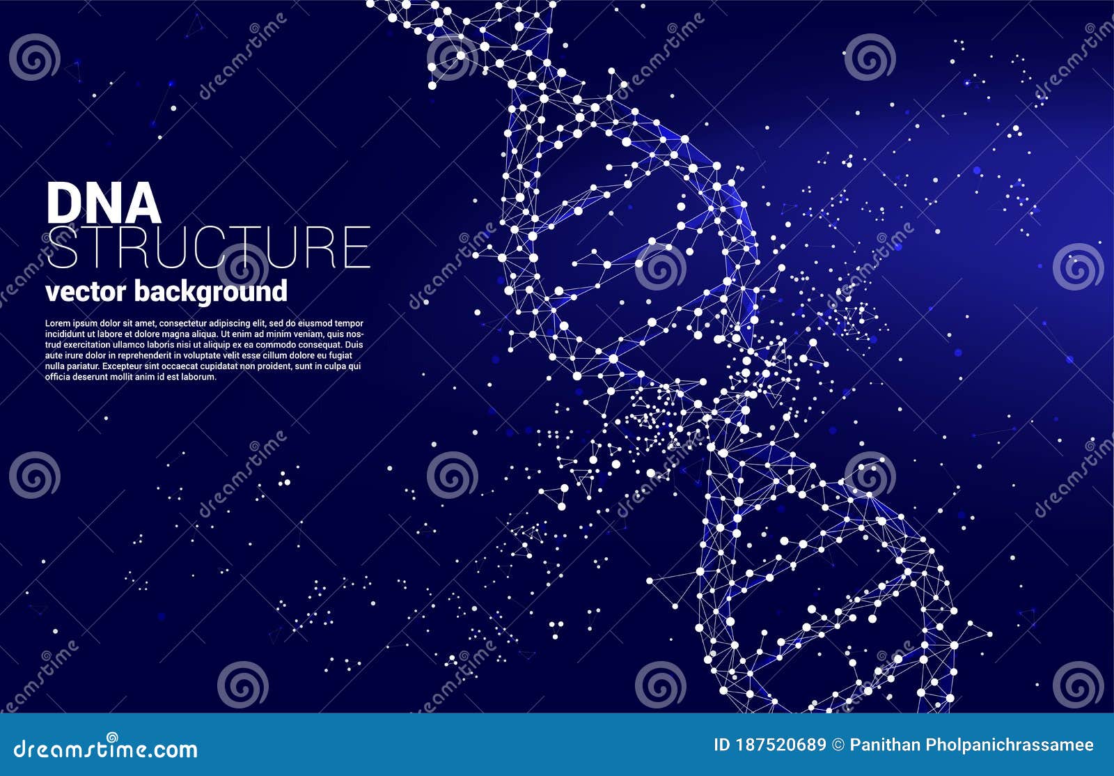 Vector DNA Genetic Structure from Dot Connect Line Polygon. Stock ...