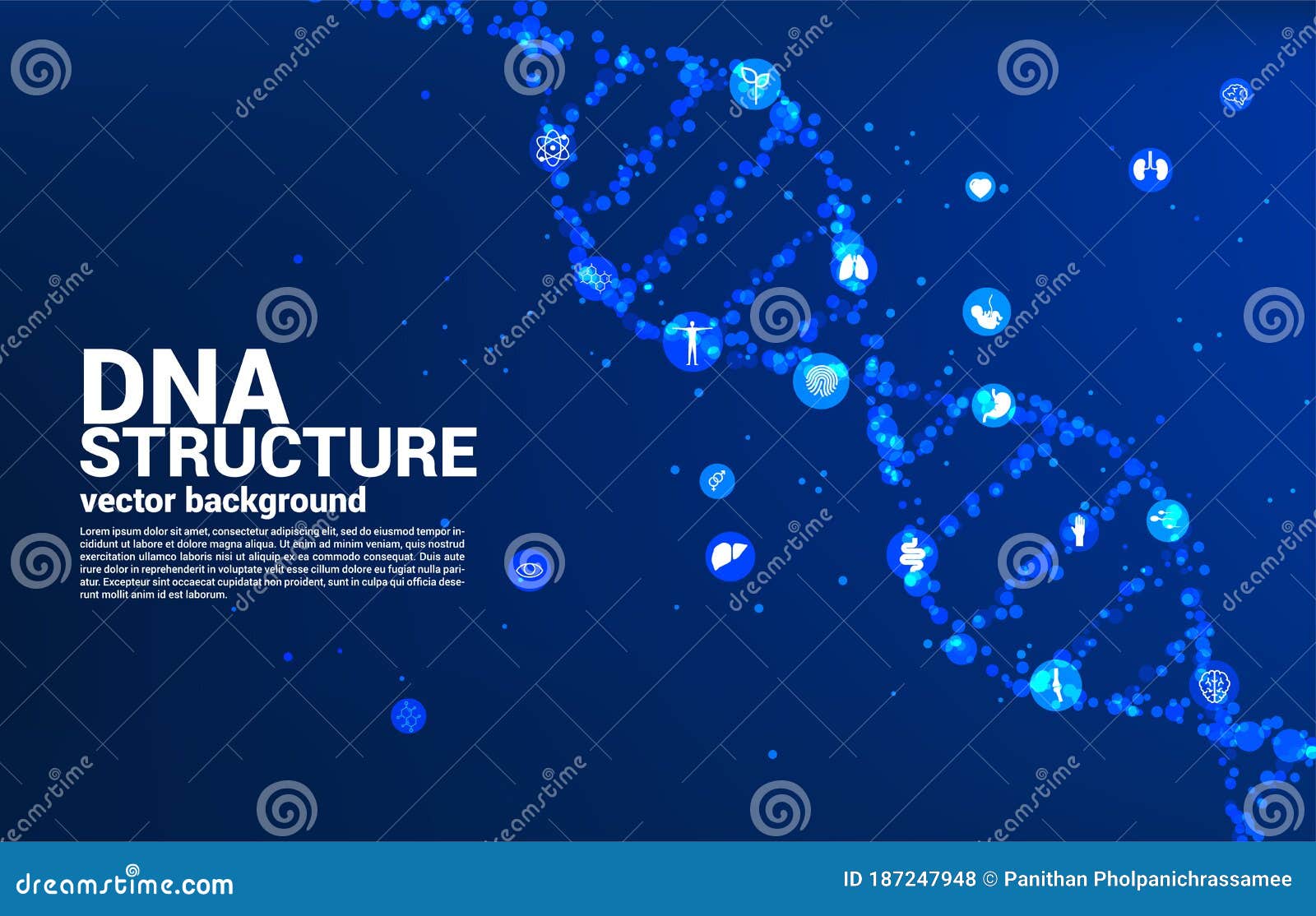 Vector DNA Genetic Structure from Dot Random with Icon. Stock Vector ...