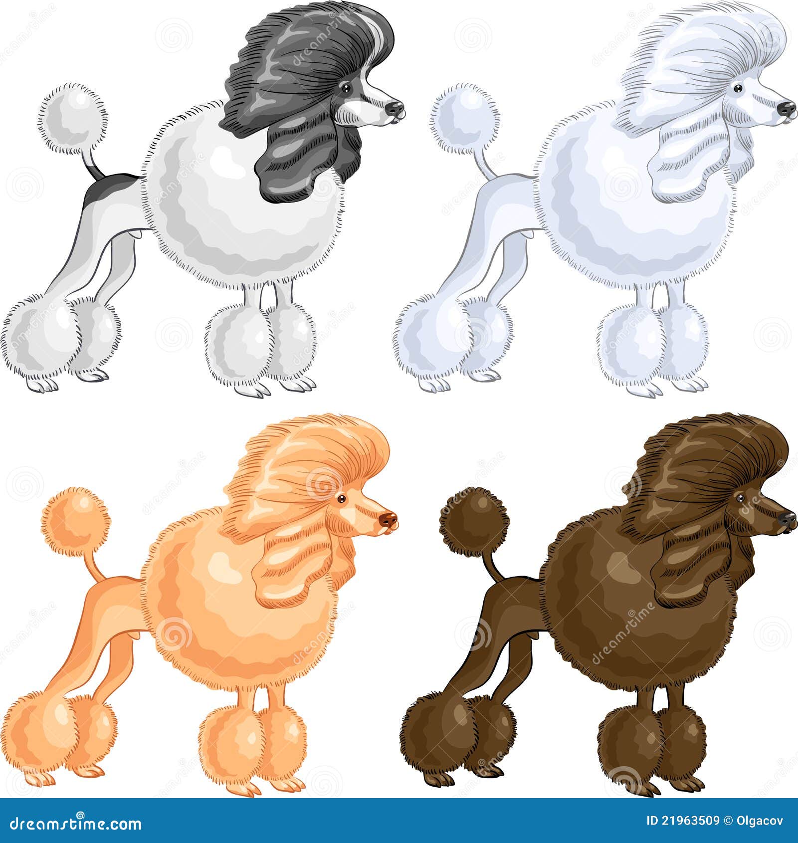 Poodle Cartoons, Illustrations & Vector Stock Images - 19122 Pictures ...