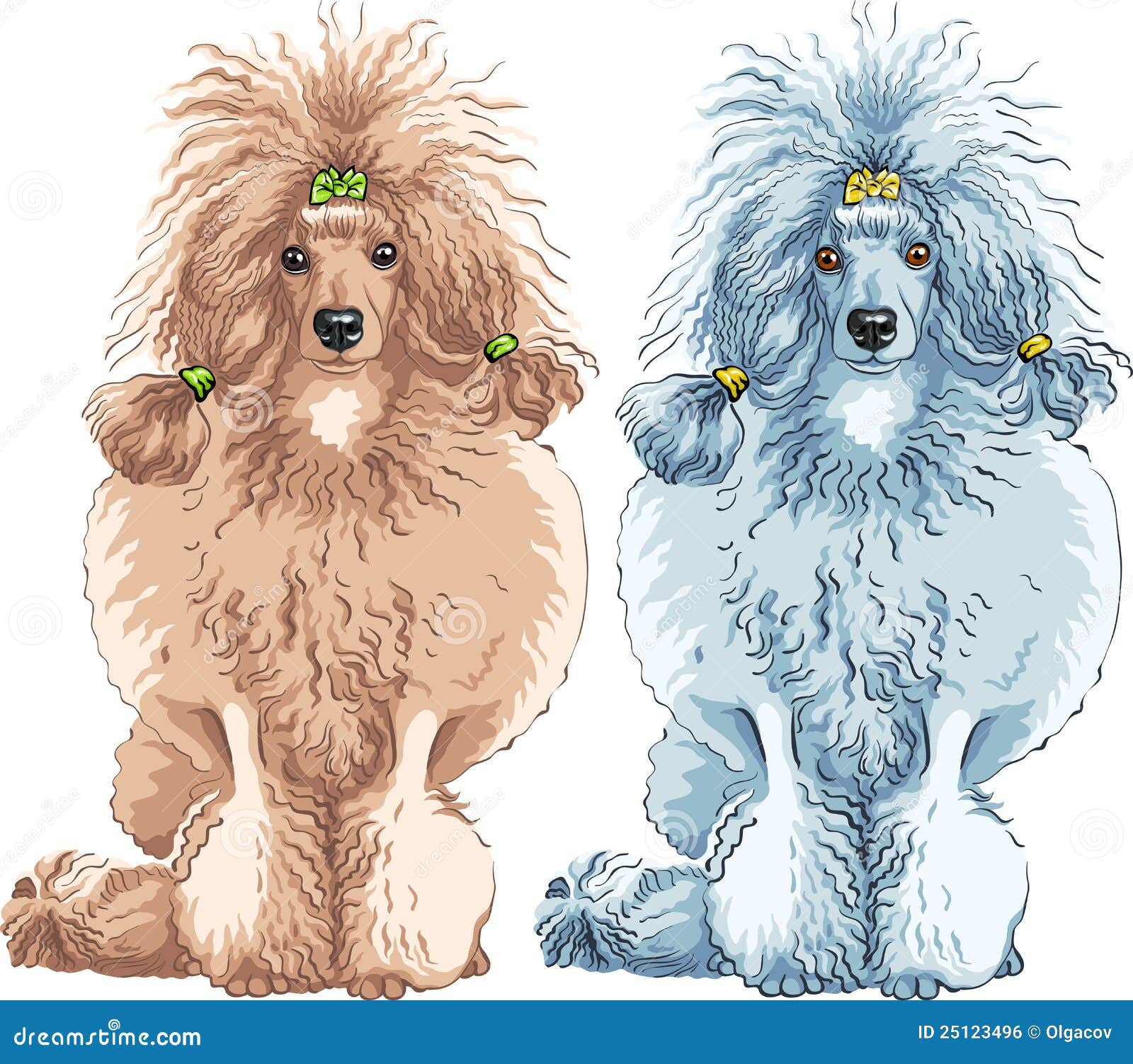 Vector Poodle Dog | CartoonDealer.com #217980725
