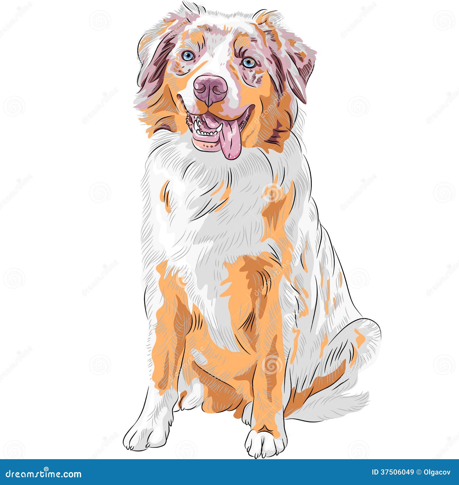 Australian Shepherd Cartoons, Illustrations & Vector Stock Images ...