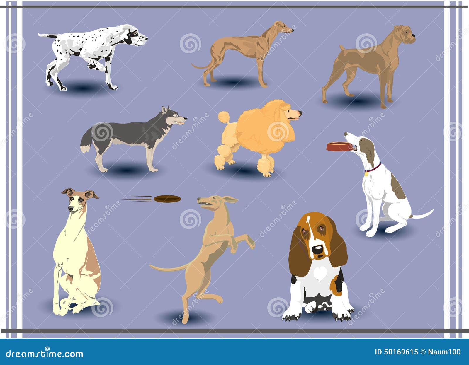 Vector dogs stock illustration. Illustration of type - 50169615