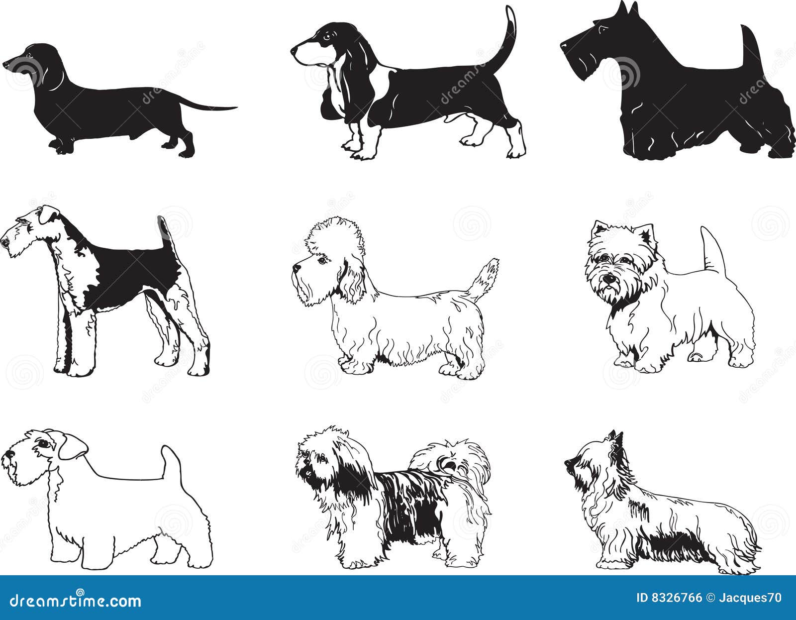 Vector Dogs Illustration stock vector. Illustration of danger - 8326766