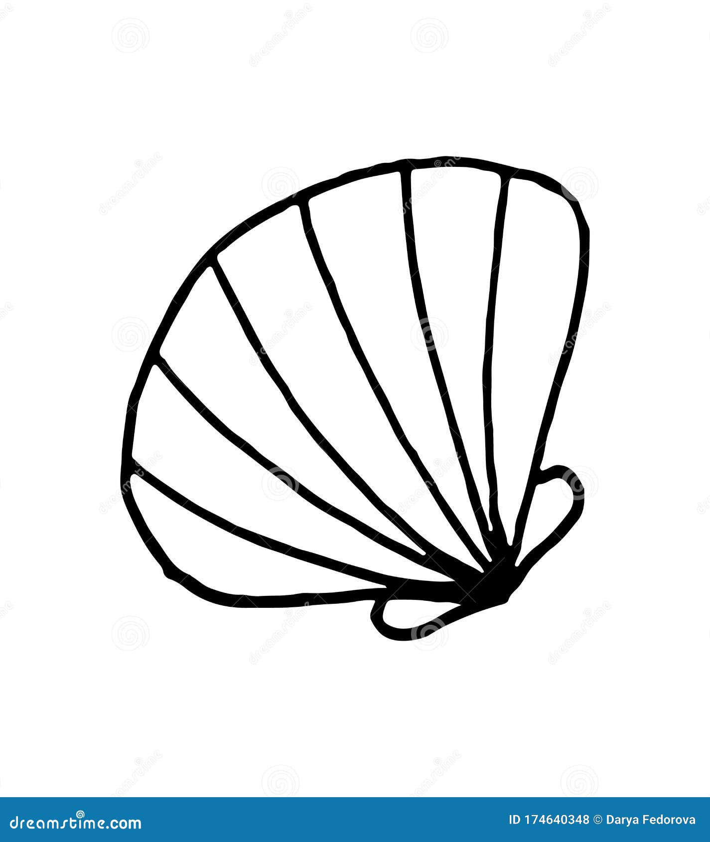 Vector Doodle Hand Drawn Sea Shell Isolated on White Background Stock ...