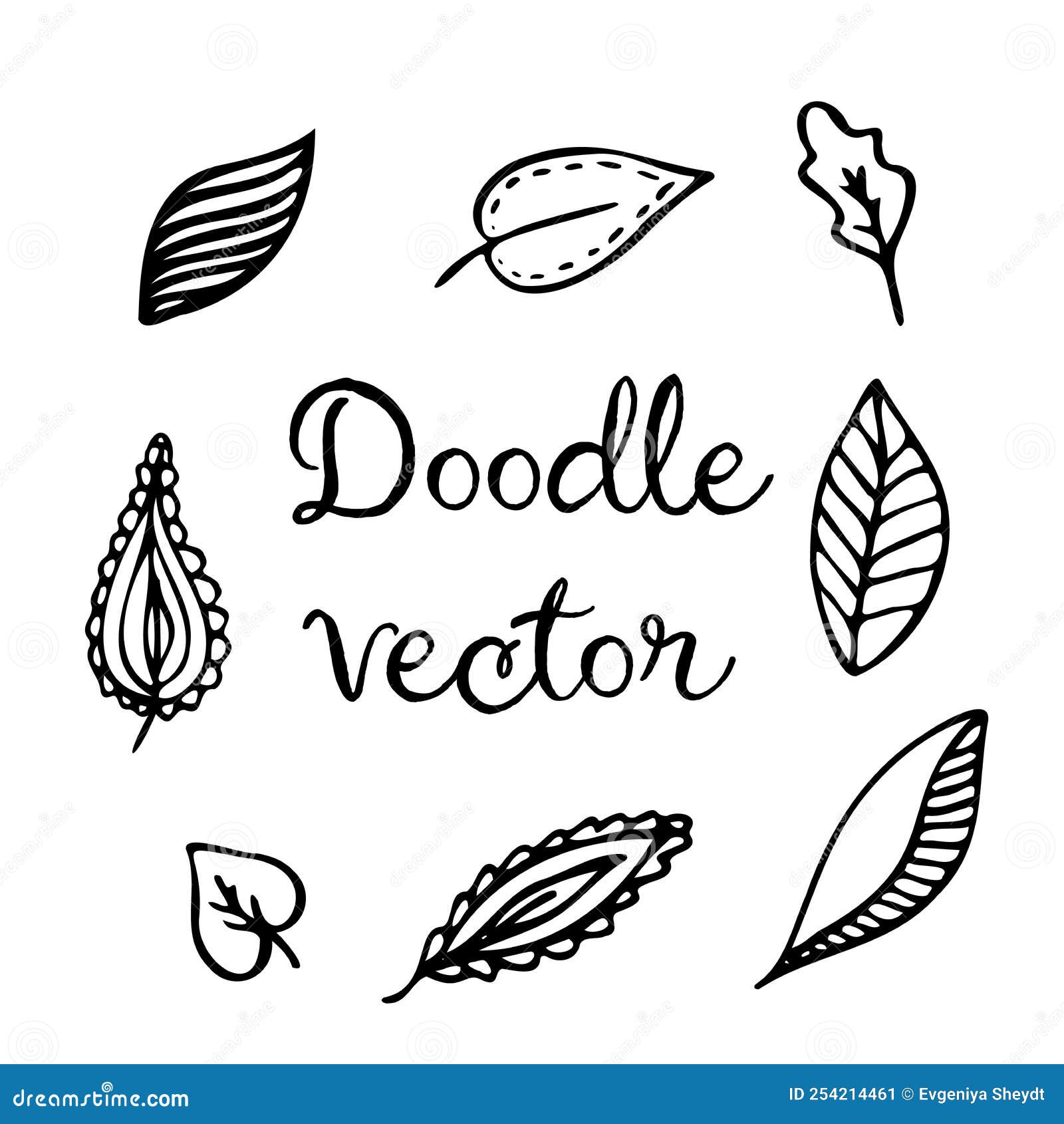 Vector Doodle Leaves Set Black Silhouette Line Illustration Stock