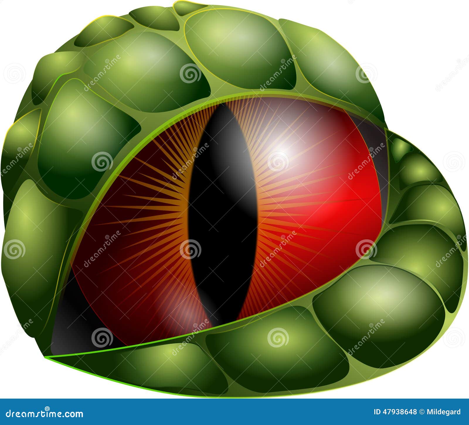 Vector dragon eye stock illustration. Illustration of macro - 47938648