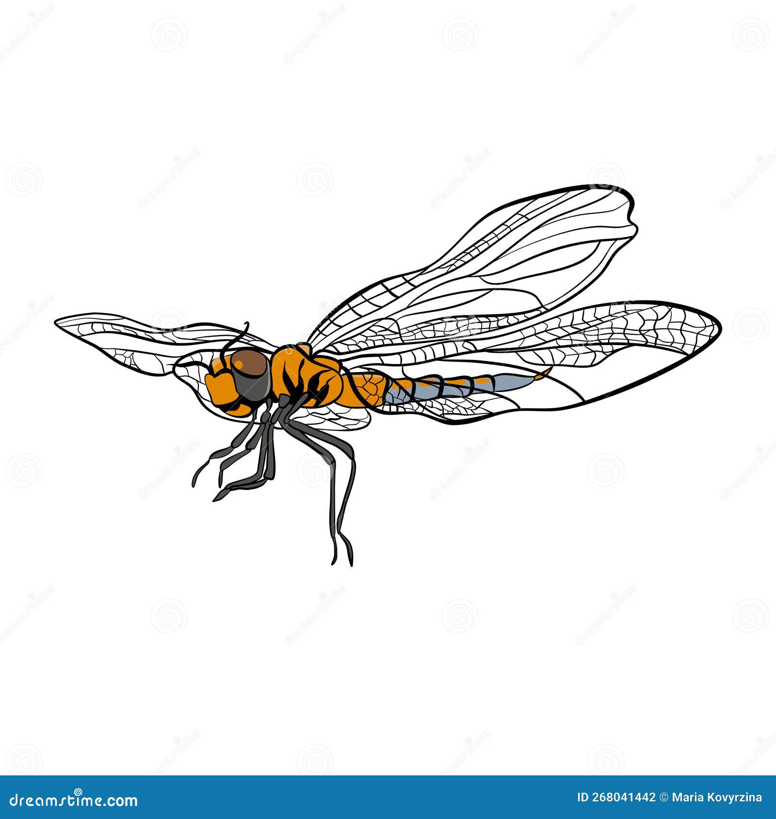 Vector Dragonfly in Doodle Technique Stock Vector - Illustration of ...