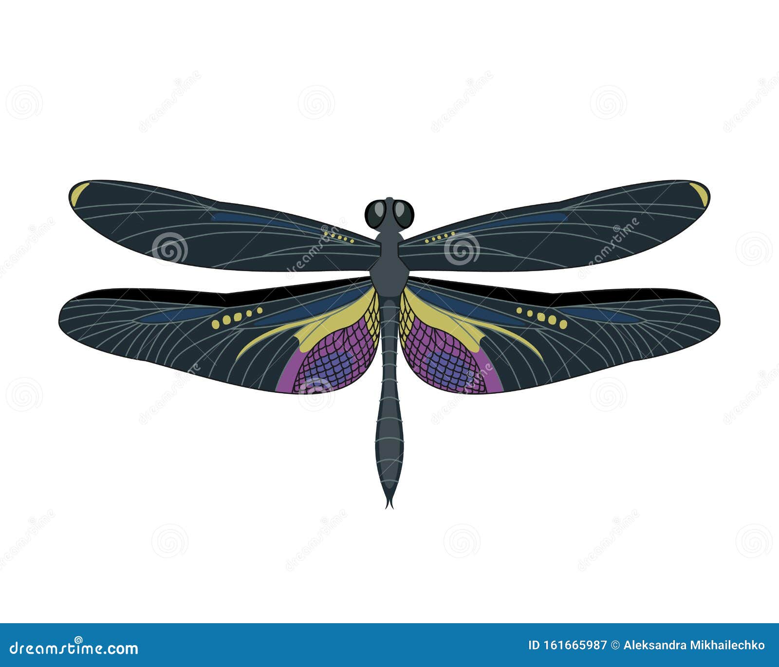 Dragonfly Icon. Cute Dragonfly Black Silhouette Symbol. Vector Isolated ...