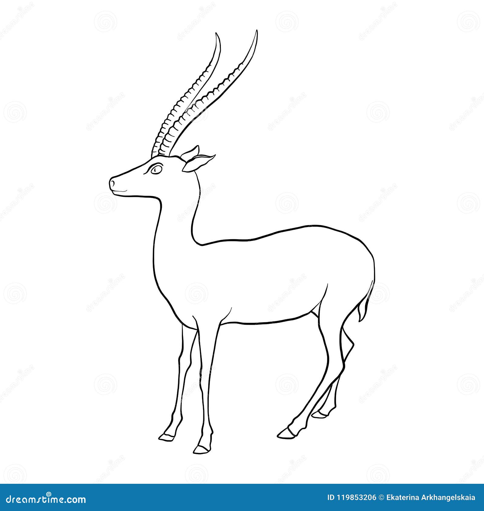 Antelope Drawing