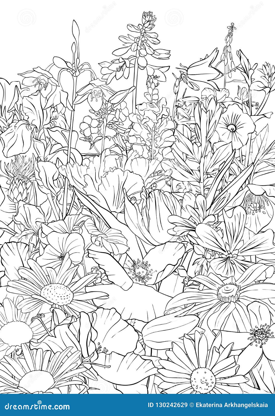 Vector Drawing Background with Flowers Stock Vector - Illustration of ...