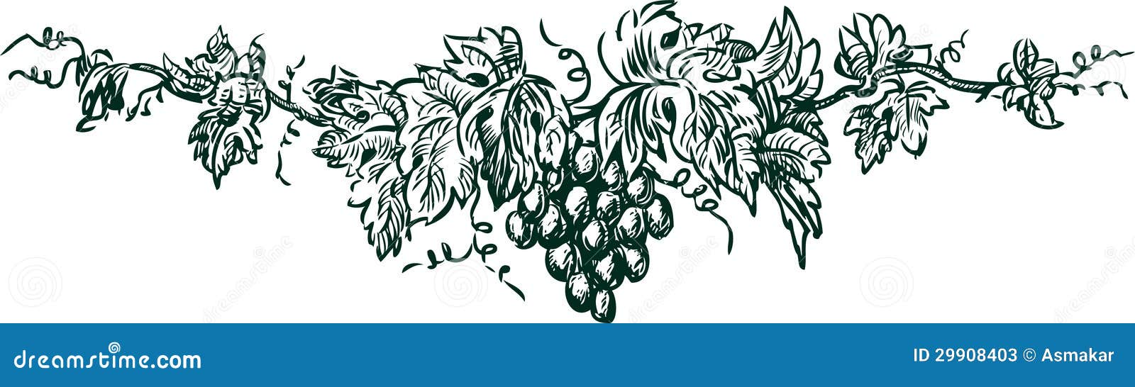 Branch with grape stock vector. Illustration of isolated - 29908403