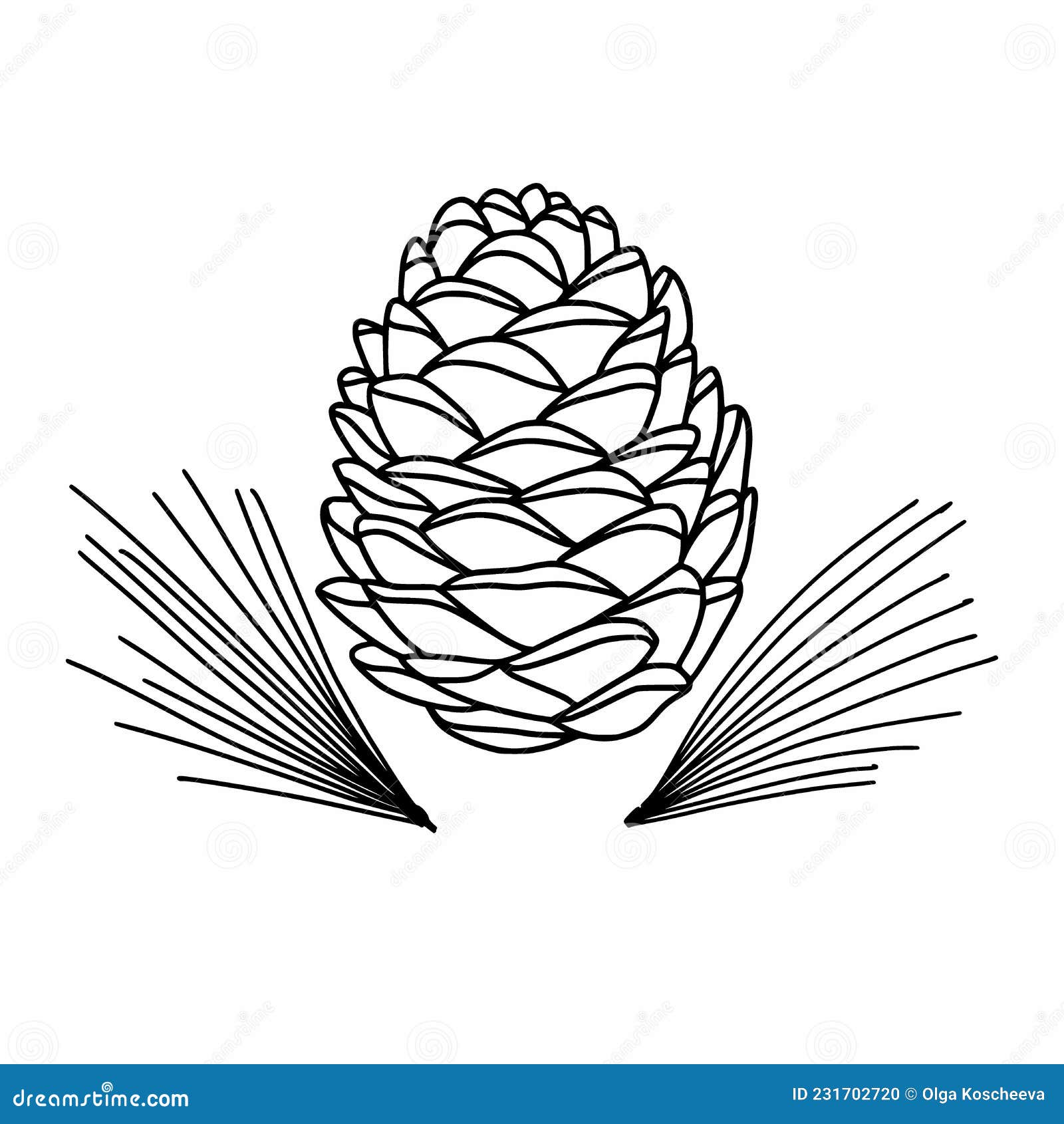 Vector Drawing of a Cedar Cone Stock Vector - Illustration of black ...