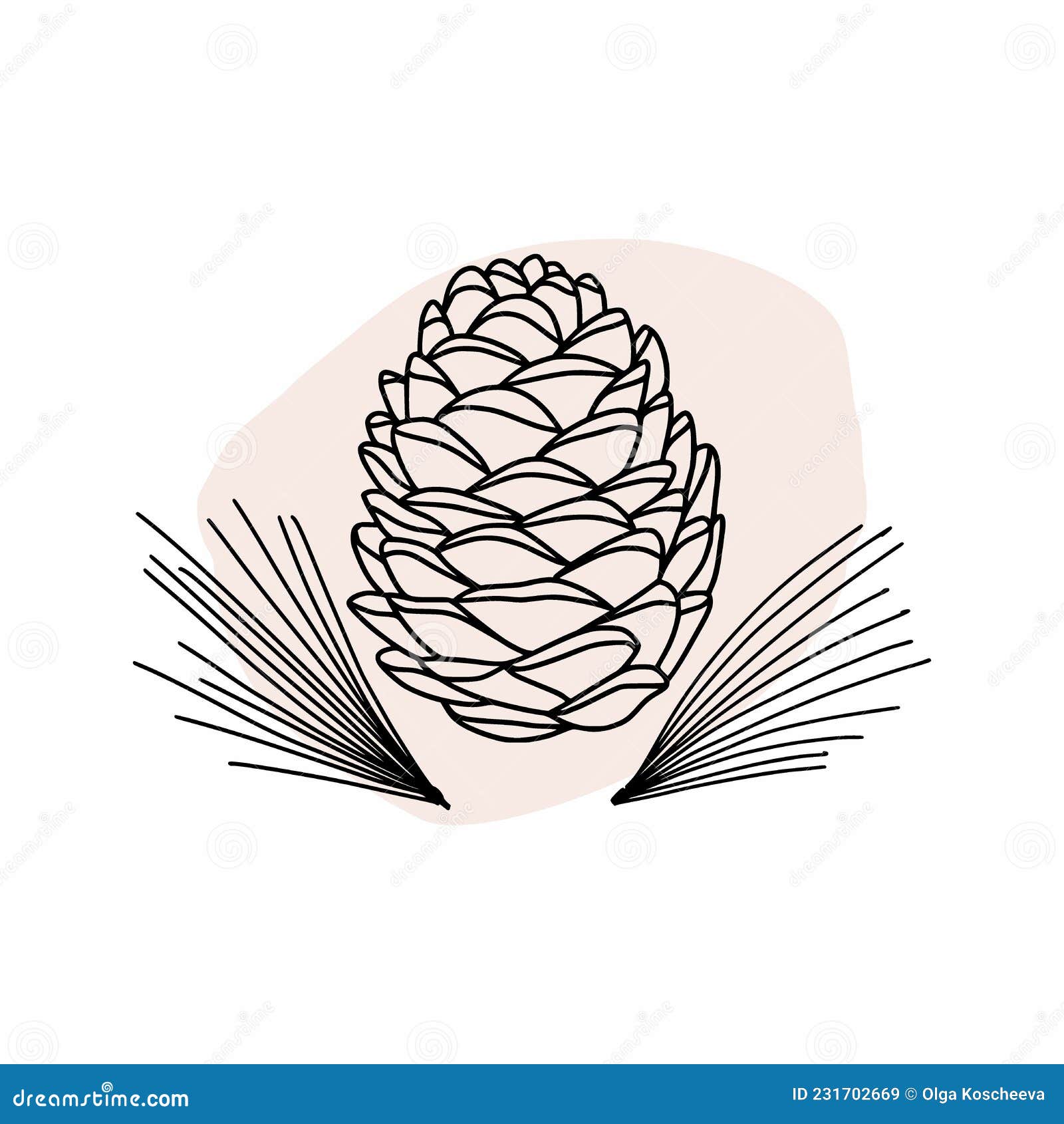 Vector Drawing of a Cedar Cone Stock Vector - Illustration of handdrawn ...