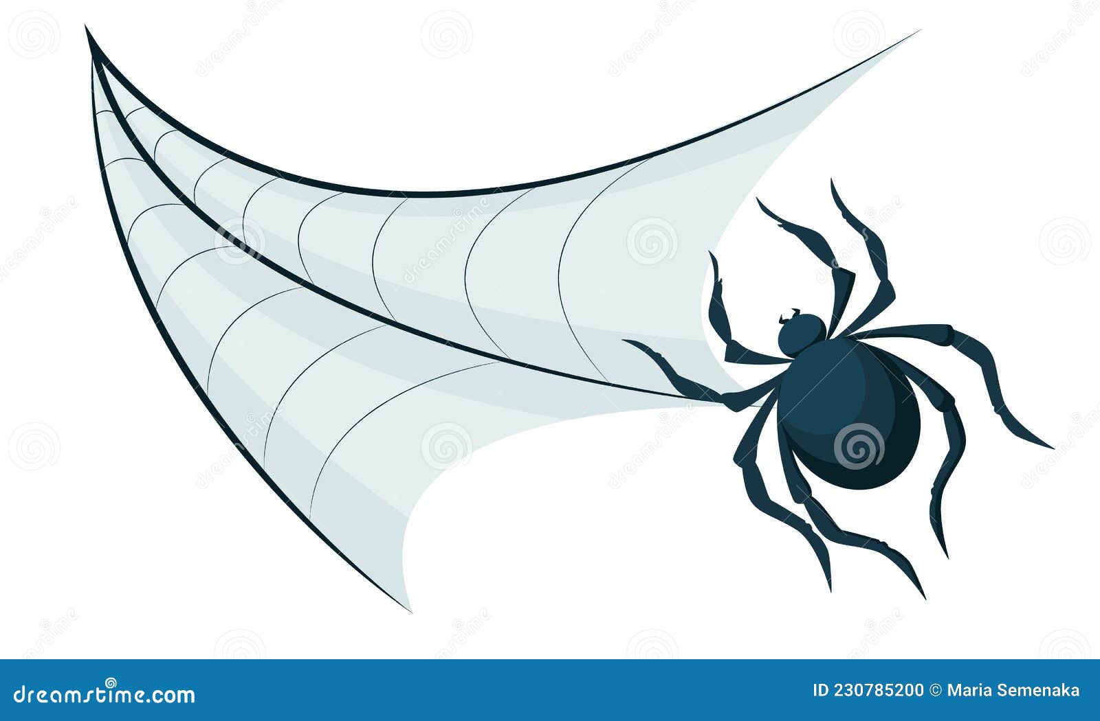Vector Drawing of Cobweb and Spider Isolated on White Background. a ...