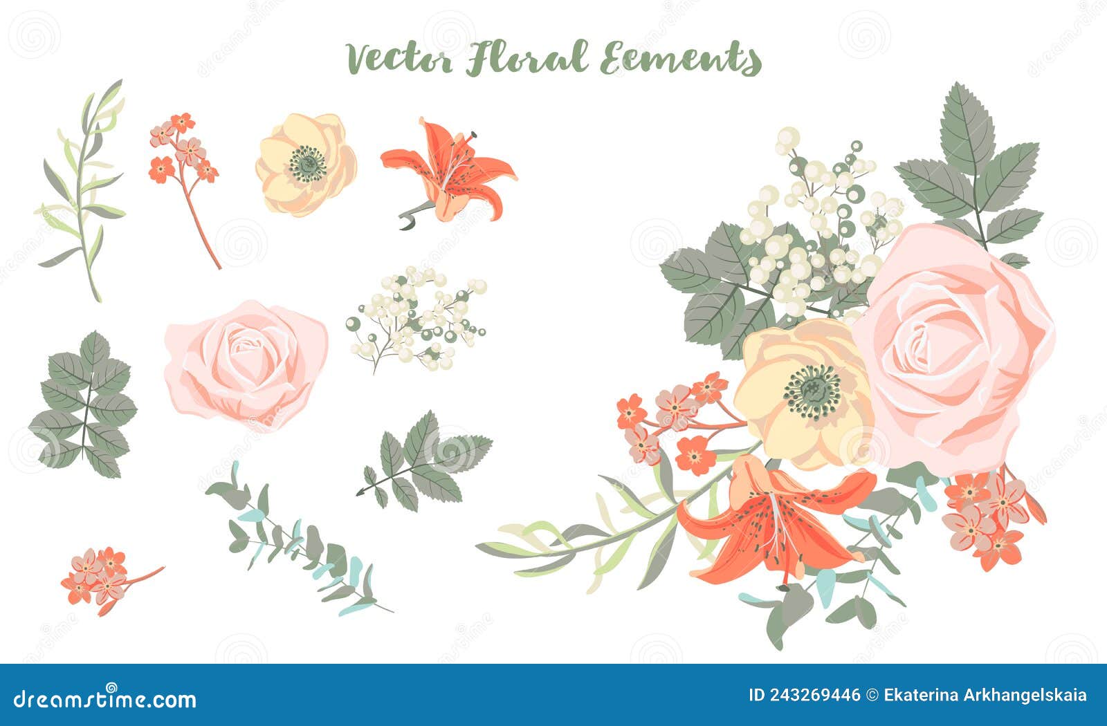 Vector Drawing Composition with Flowers Stock Vector - Illustration of ...