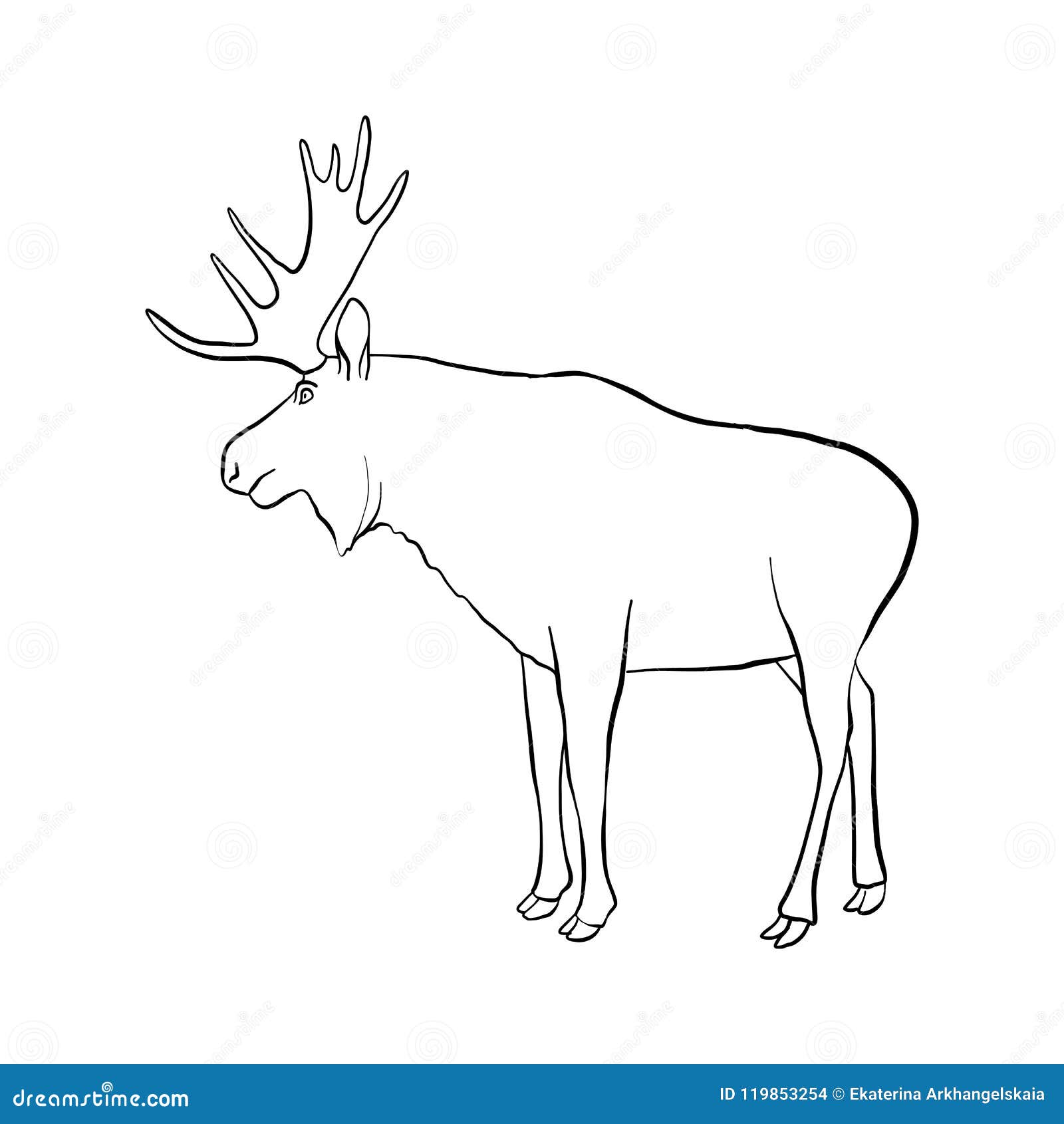 Vector drawing elk stock vector. Illustration of horns - 119853254