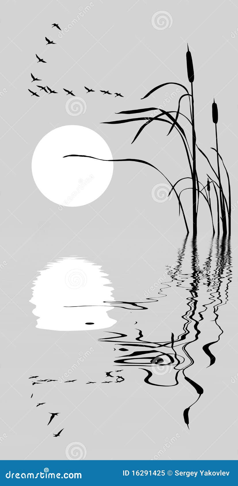 Vector drawing flock stock vector. Illustration of birds - 16291425