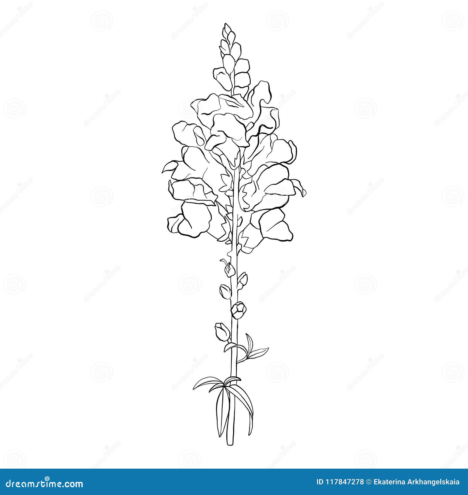 Vector drawing flower stock vector. Illustration of stem - 117847278