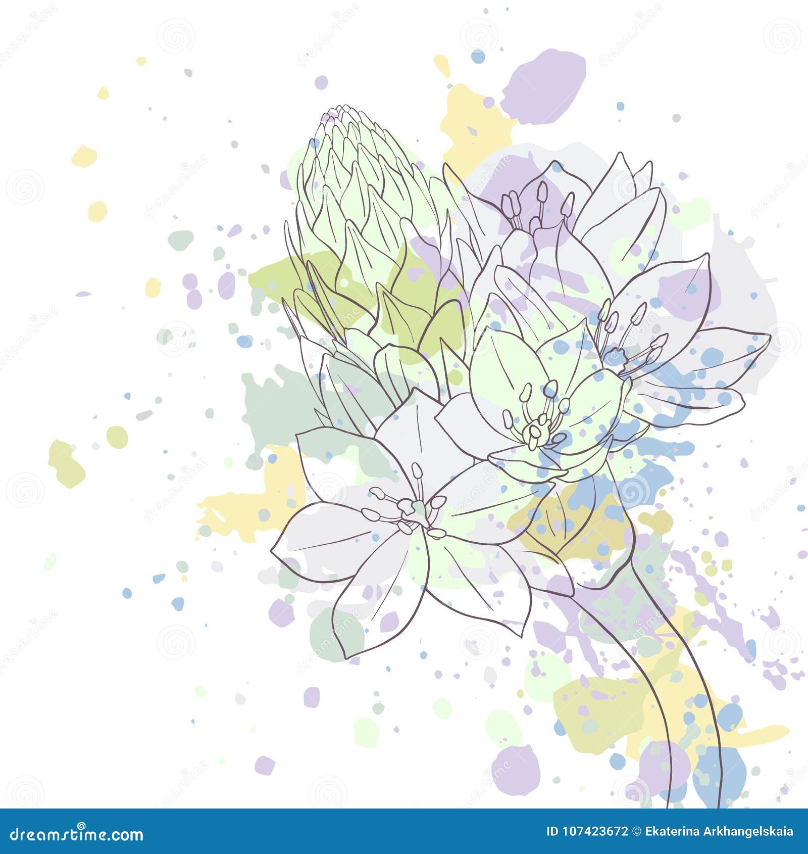 Vector drawing flower stock vector. Illustration of drawing - 107423672