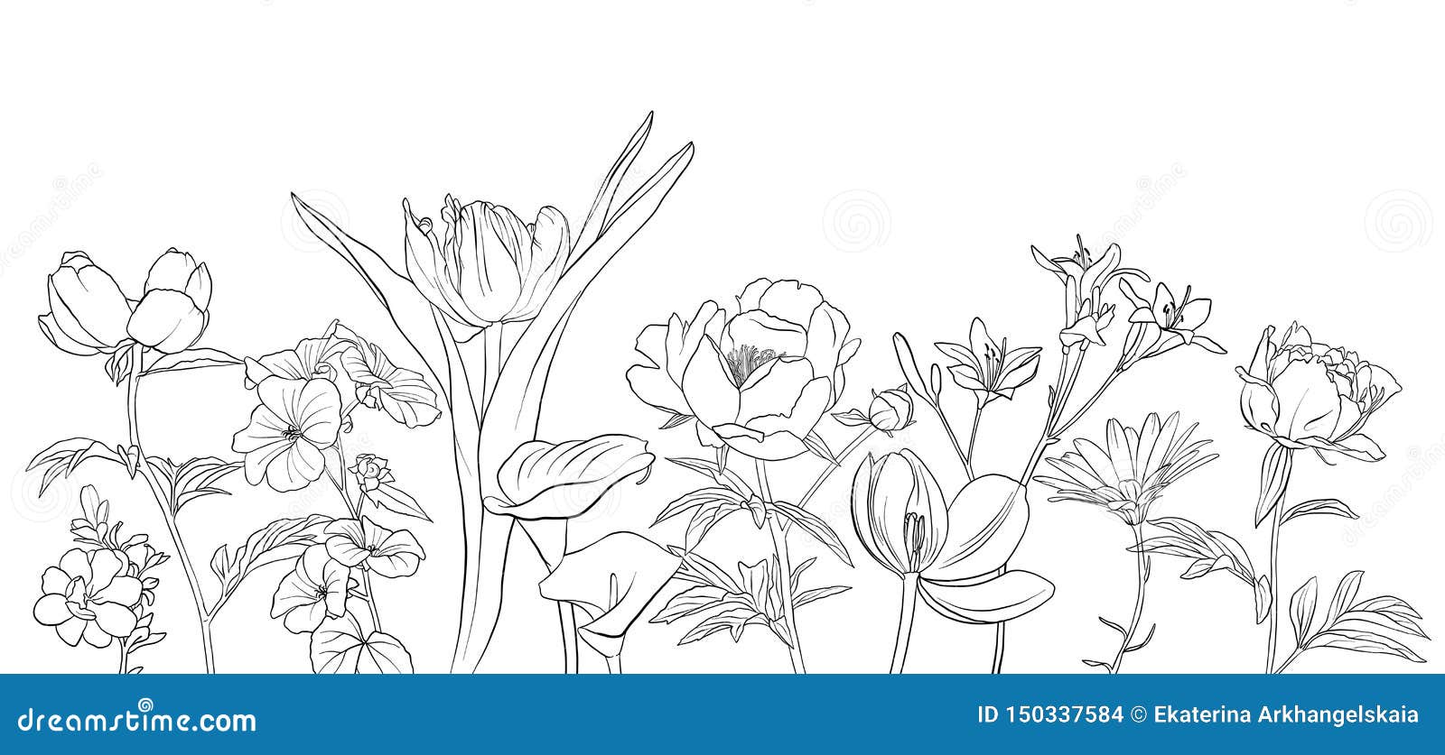 Vector drawing flowers stock vector. Illustration of border - 150337584