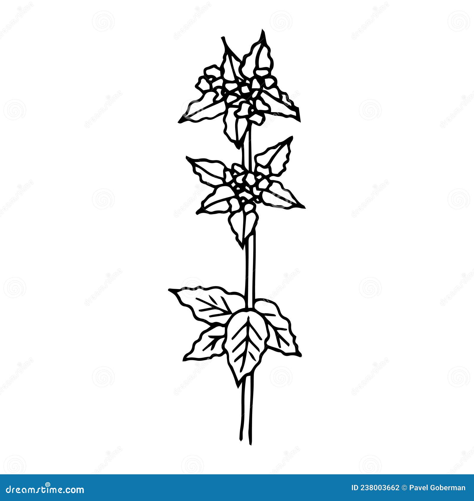 Vector Drawing by Hand Doodle Twig, Isolated Stock Illustration ...