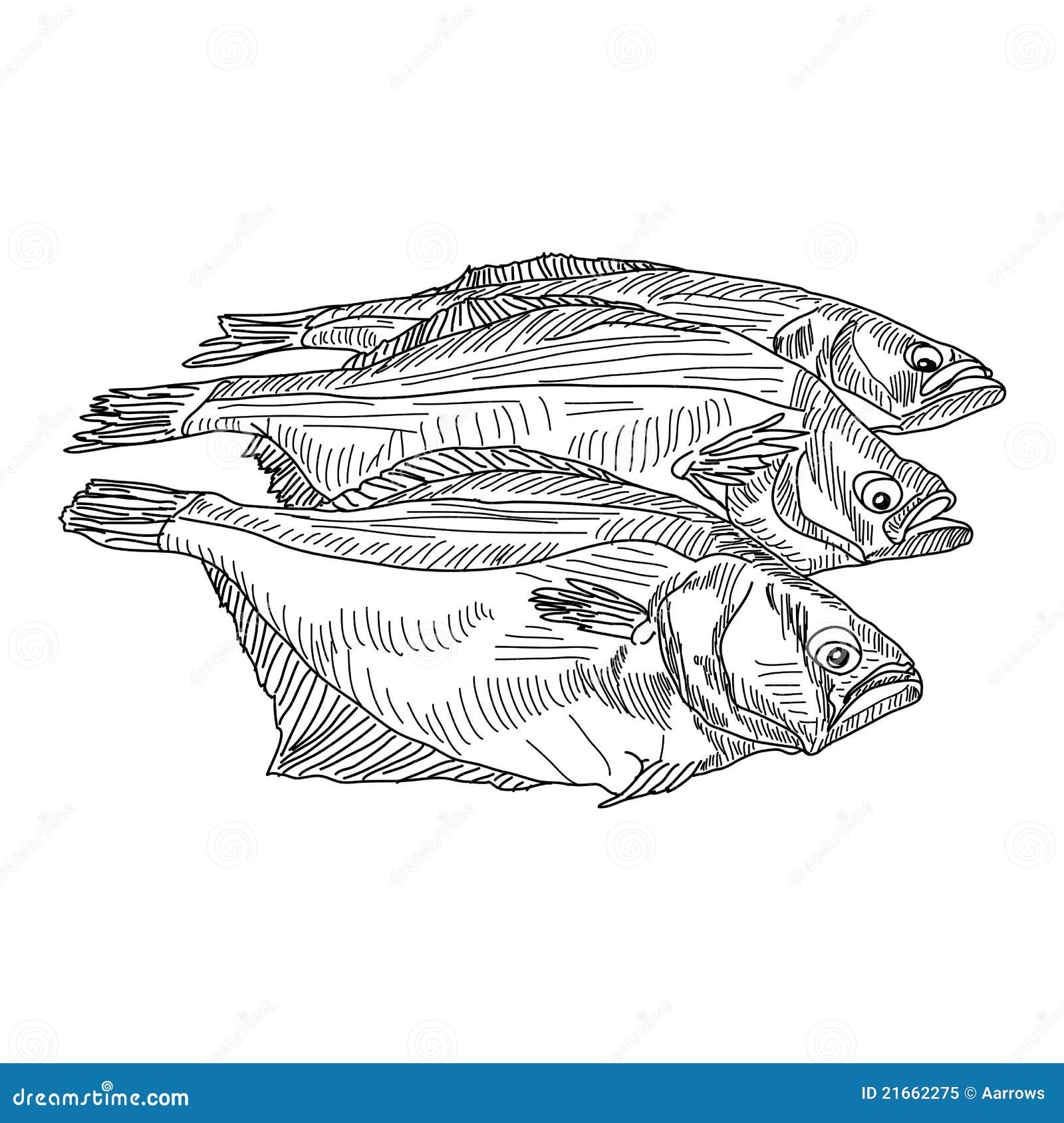 Vector drawing hand fish stock vector. Illustration of organic - 21662275