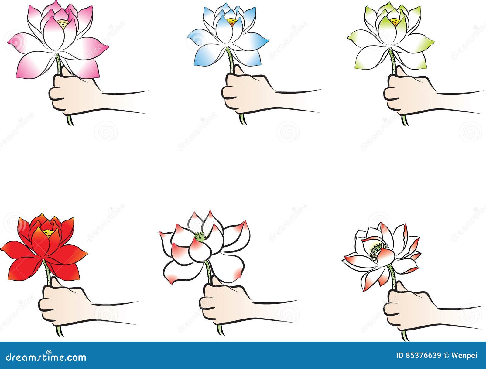 Vector Drawing Hand Holding Lotus Stock Vector - Illustration of give ...