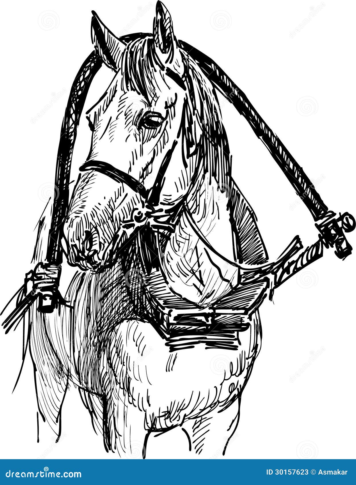 Harnessed horse stock vector. Illustration of tradition - 30157623