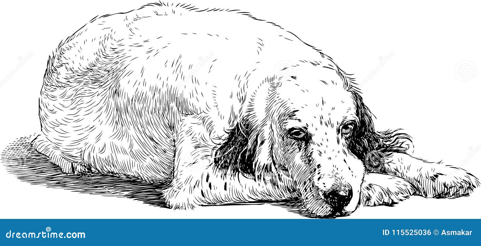 Sketch of a sad spaniel stock vector. Illustration of tired - 115525036