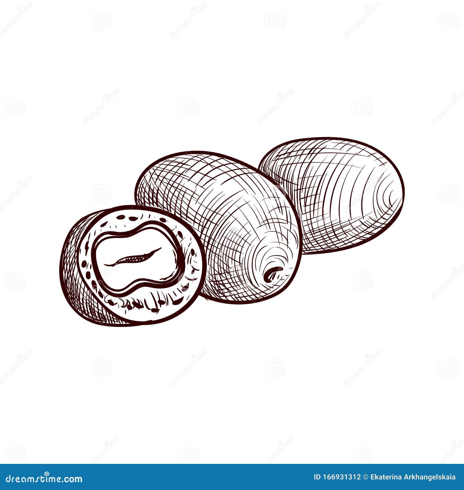 Mongongo Cartoons, Illustrations & Vector Stock Images - 27 Pictures to ...