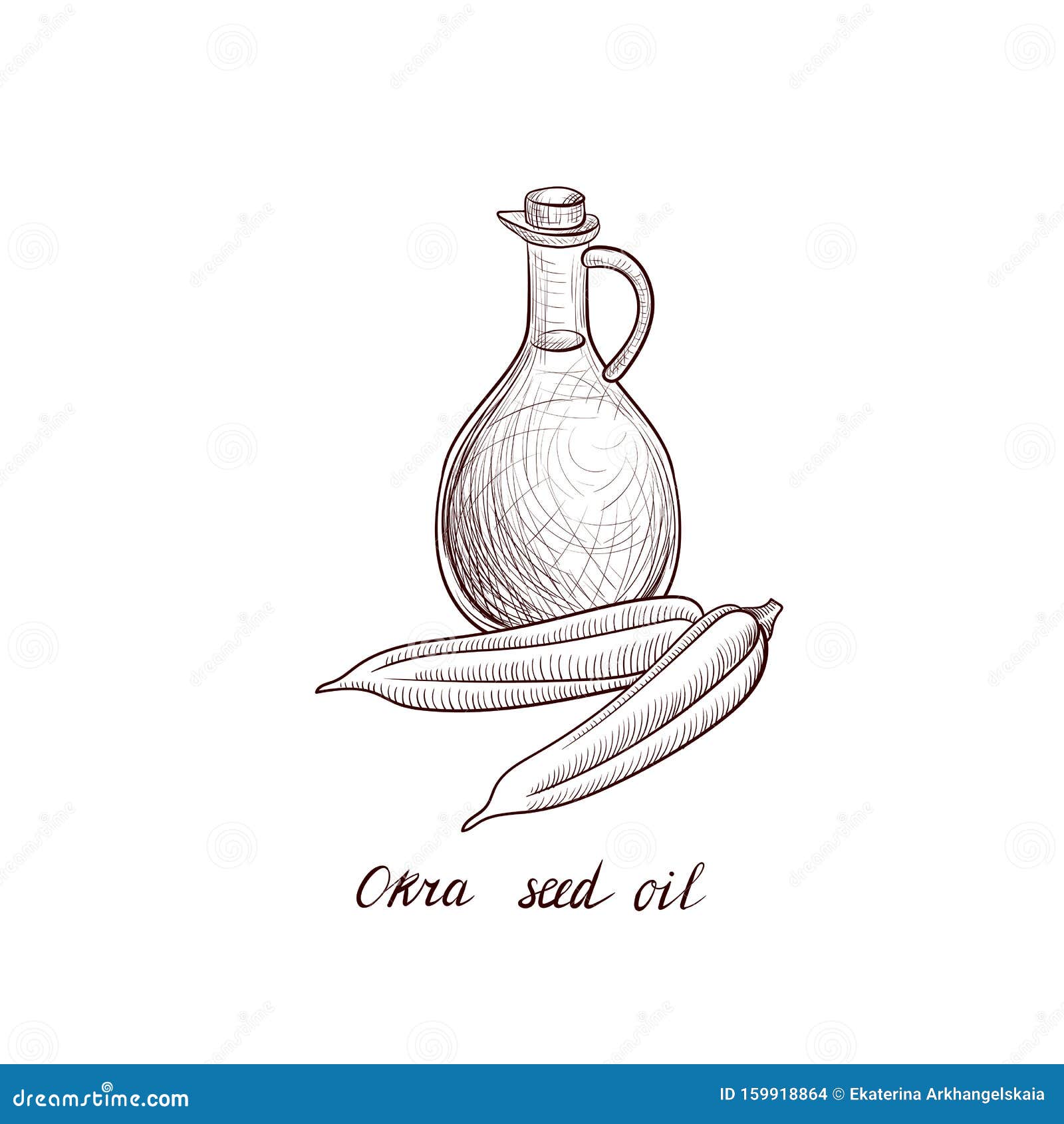 Vector Drawing Okra Seed Oil Stock Vector - Illustration of essential ...