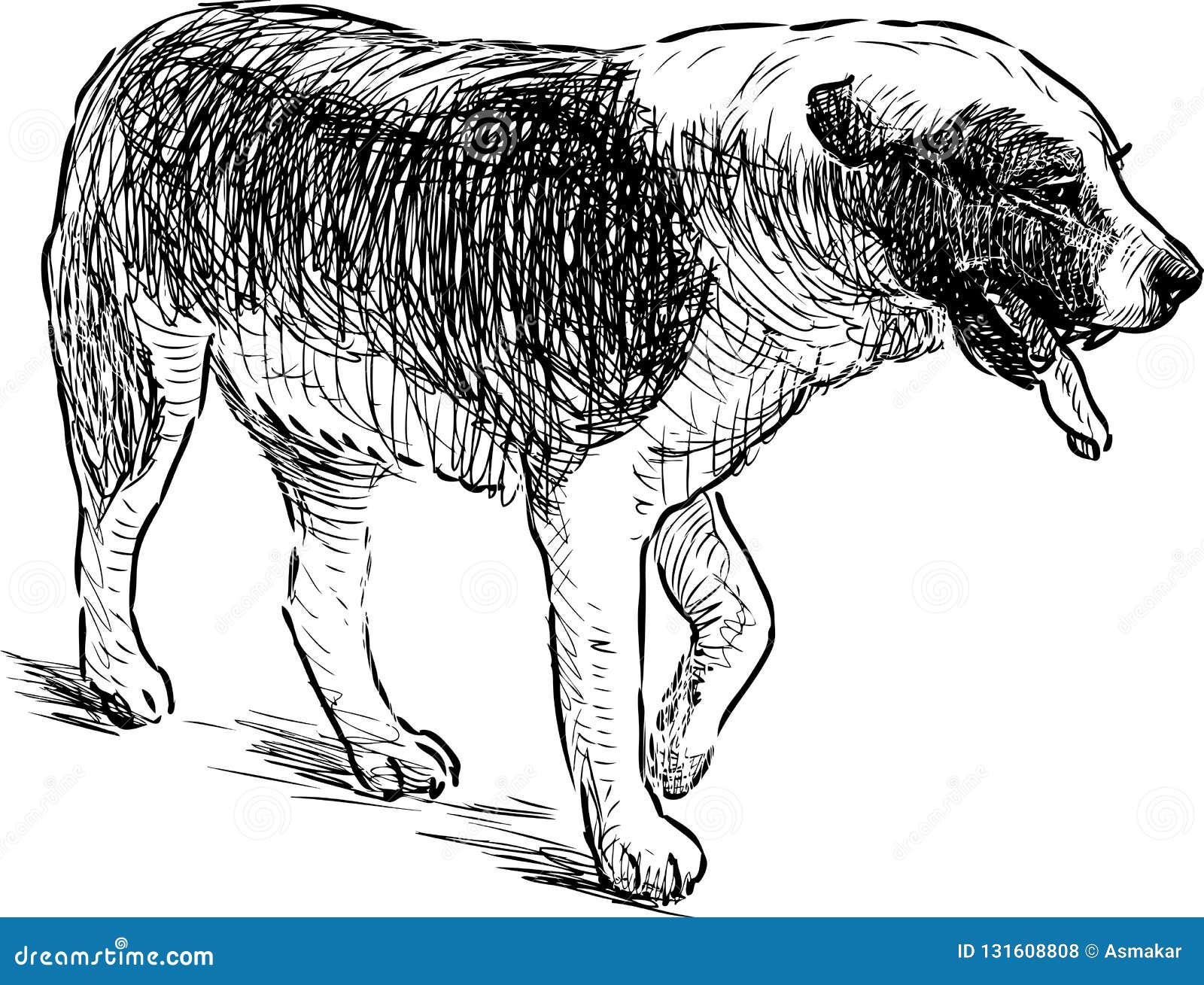 A sketch of a walking dog stock vector. Illustration of black - 131608808