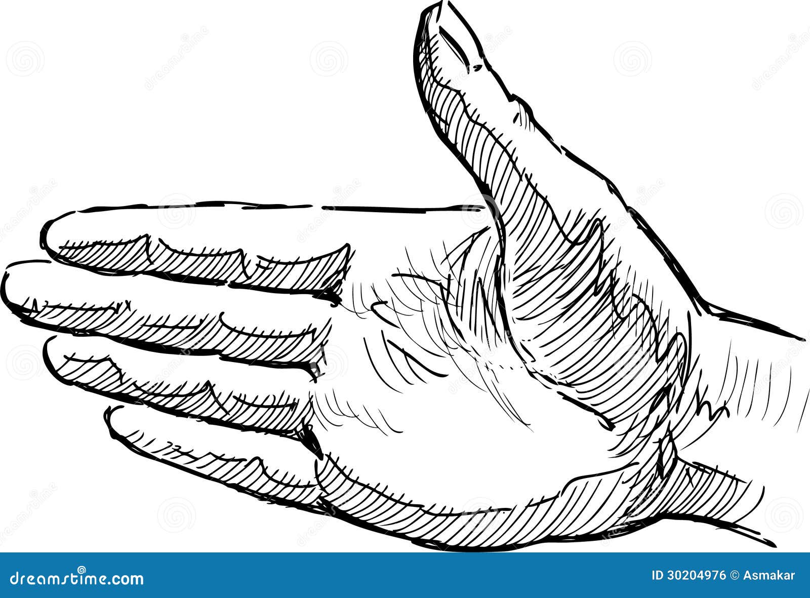 Human palm stock vector. Illustration of hand, open, realistic - 30204976