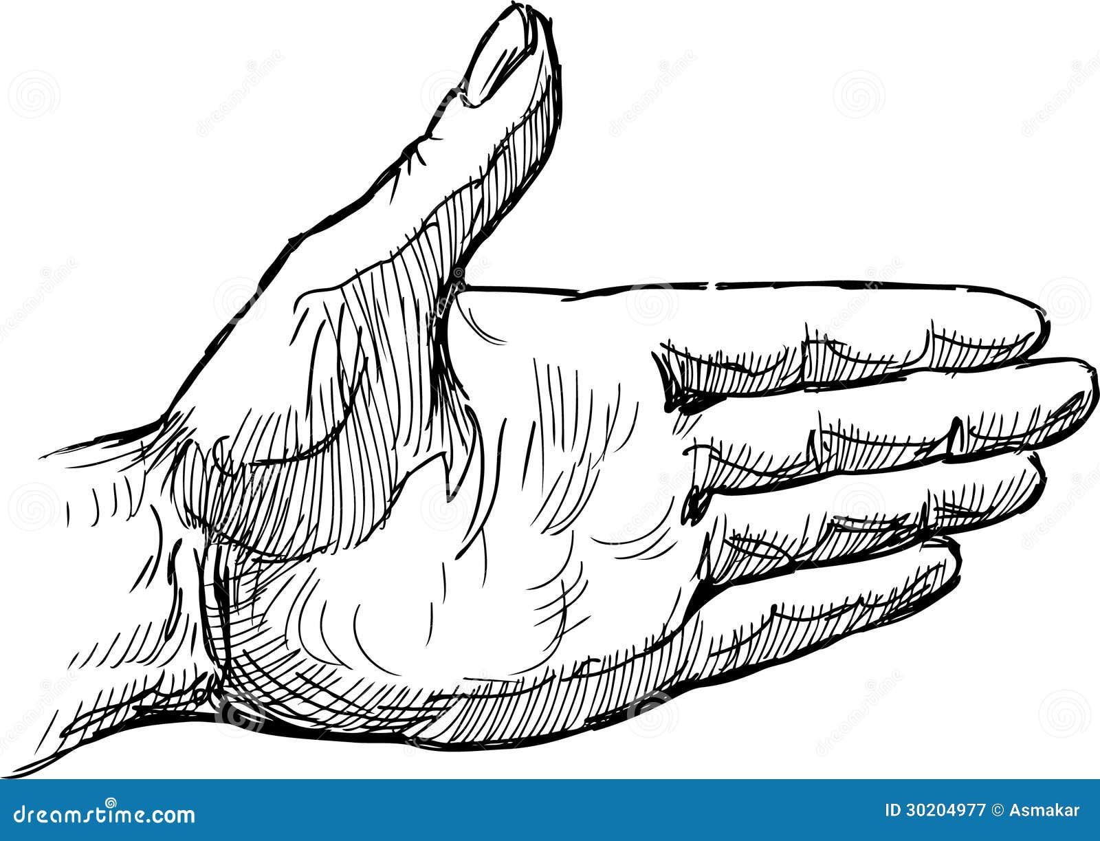 Human hand stock vector. Illustration of support, realistic - 30204977