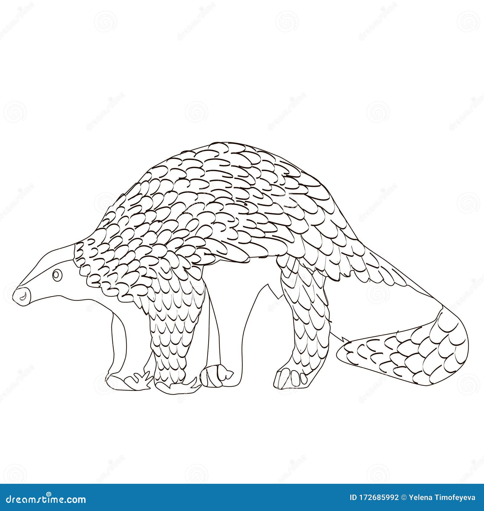 Vector Drawing Of Pangolin In A Outline, Contour Royalty-Free Stock ...