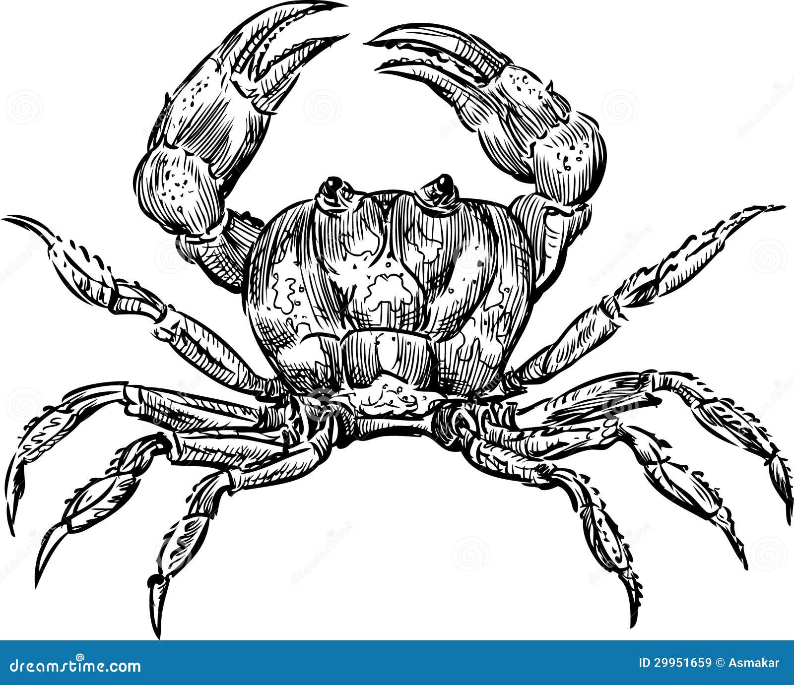 Chela Cartoons, Illustrations & Vector Stock Images - 122 Pictures to ...