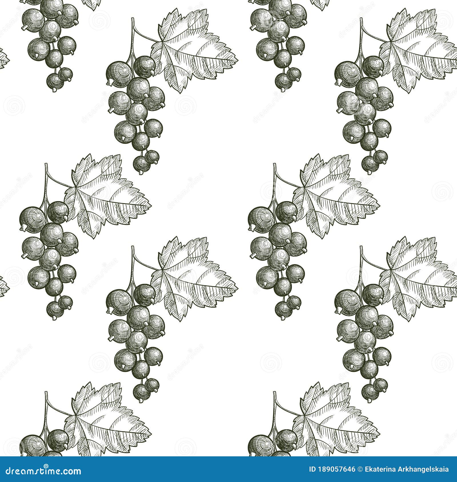 Vector Drawing Seamless Pattern with Blackcurrants Stock Illustration ...
