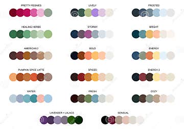 Set of color palettes stock vector. Illustration of round - 282900463