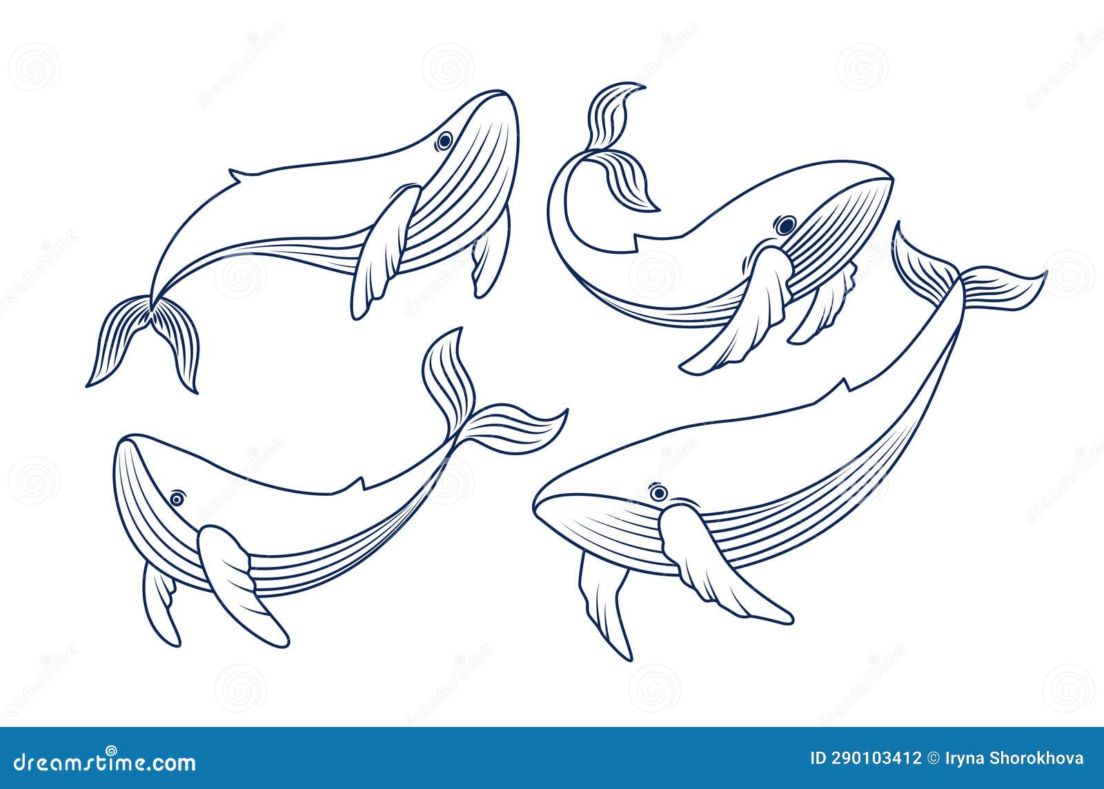 Vector Drawing Set with Whales Stock Vector - Illustration of aquatic ...