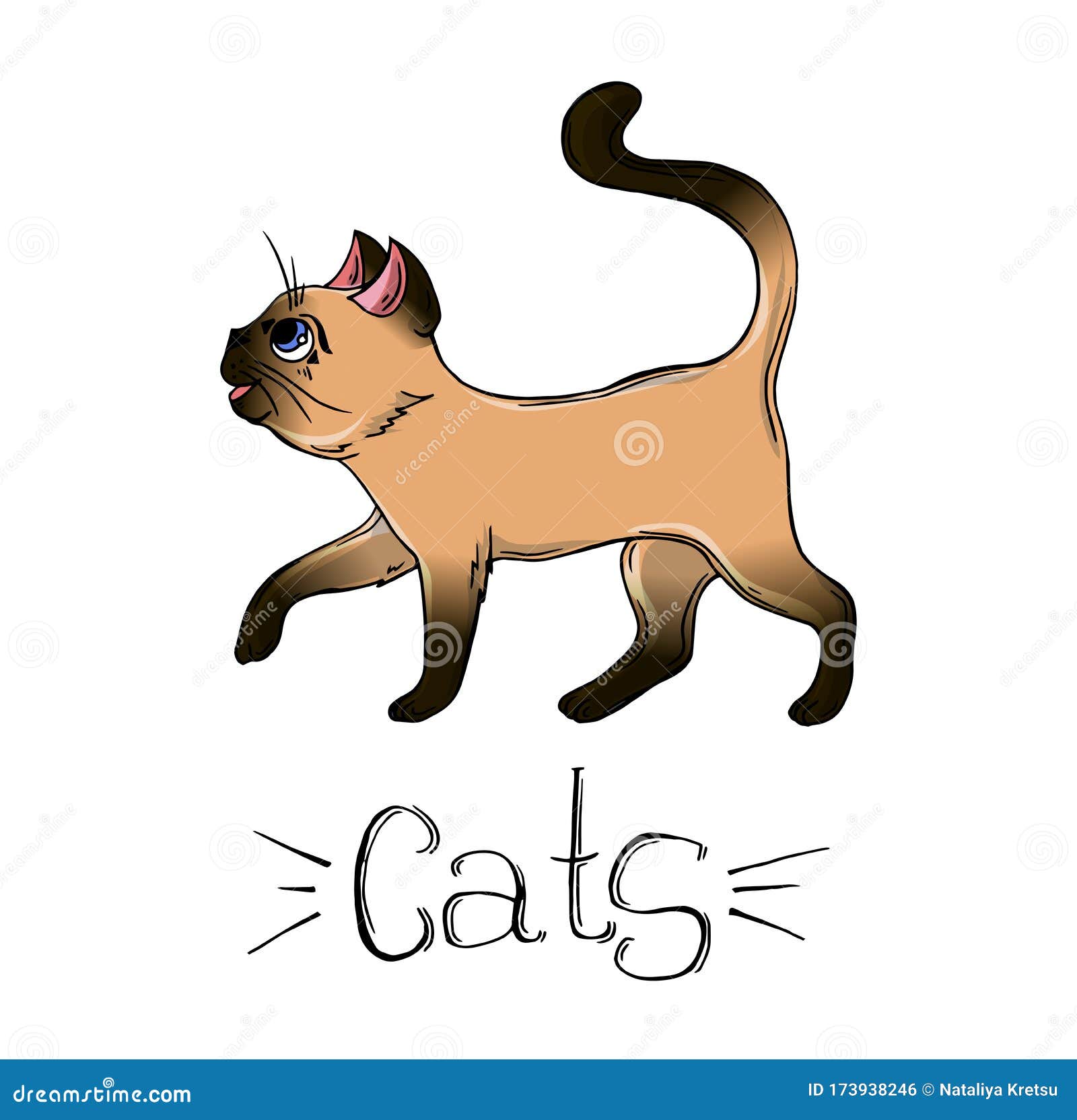 Vector Drawing of a Siamese Cat. Cartoon Cat Stock Vector ... Vector Drawing of a Siamese Cat. Cartoon Cat Stock Vector ...