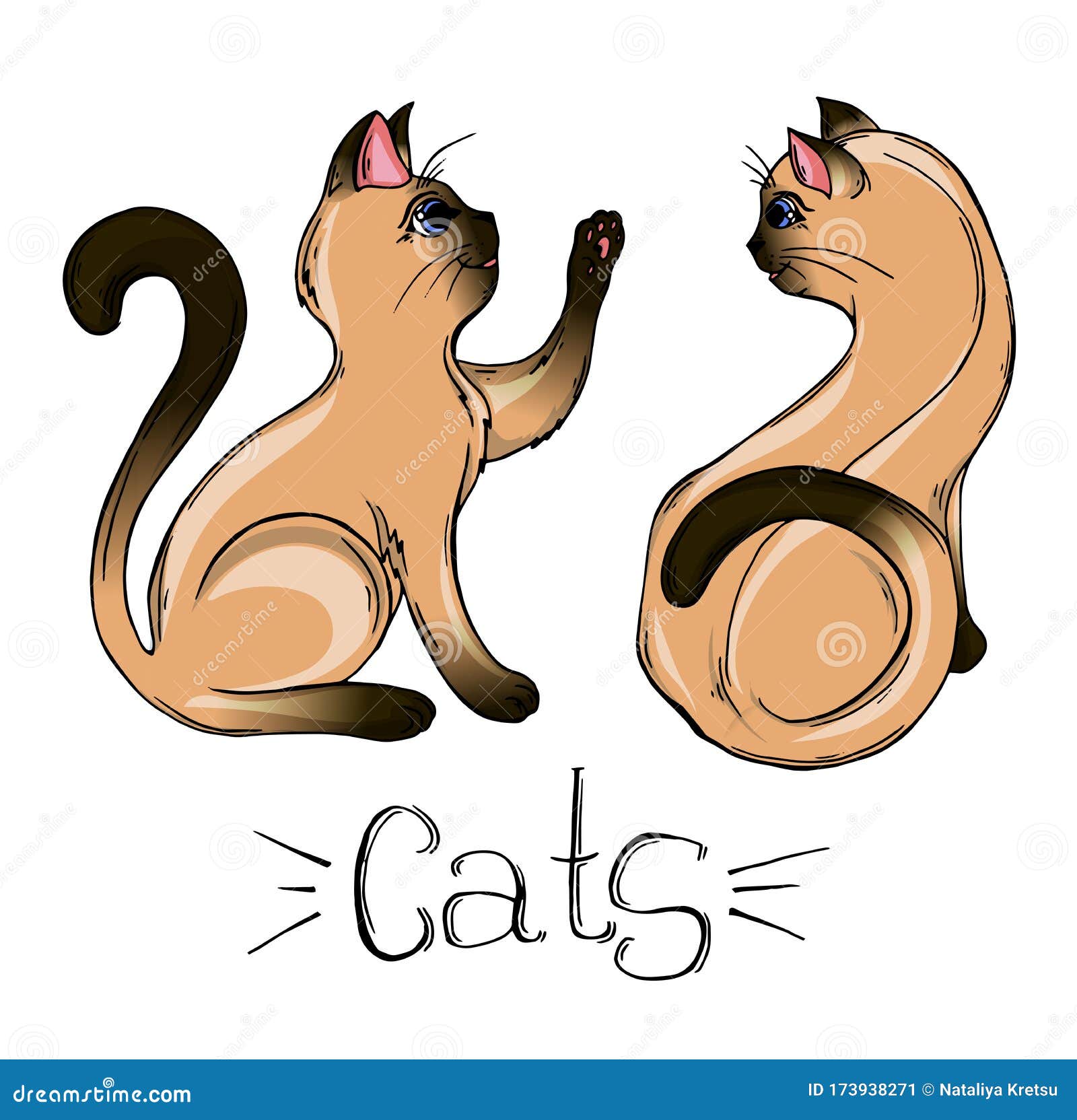 Vector Drawing of a Siamese Cat. Cartoon Cat Stock Vector ... Vector Drawing of a Siamese Cat. Cartoon Cat Stock Vector ...