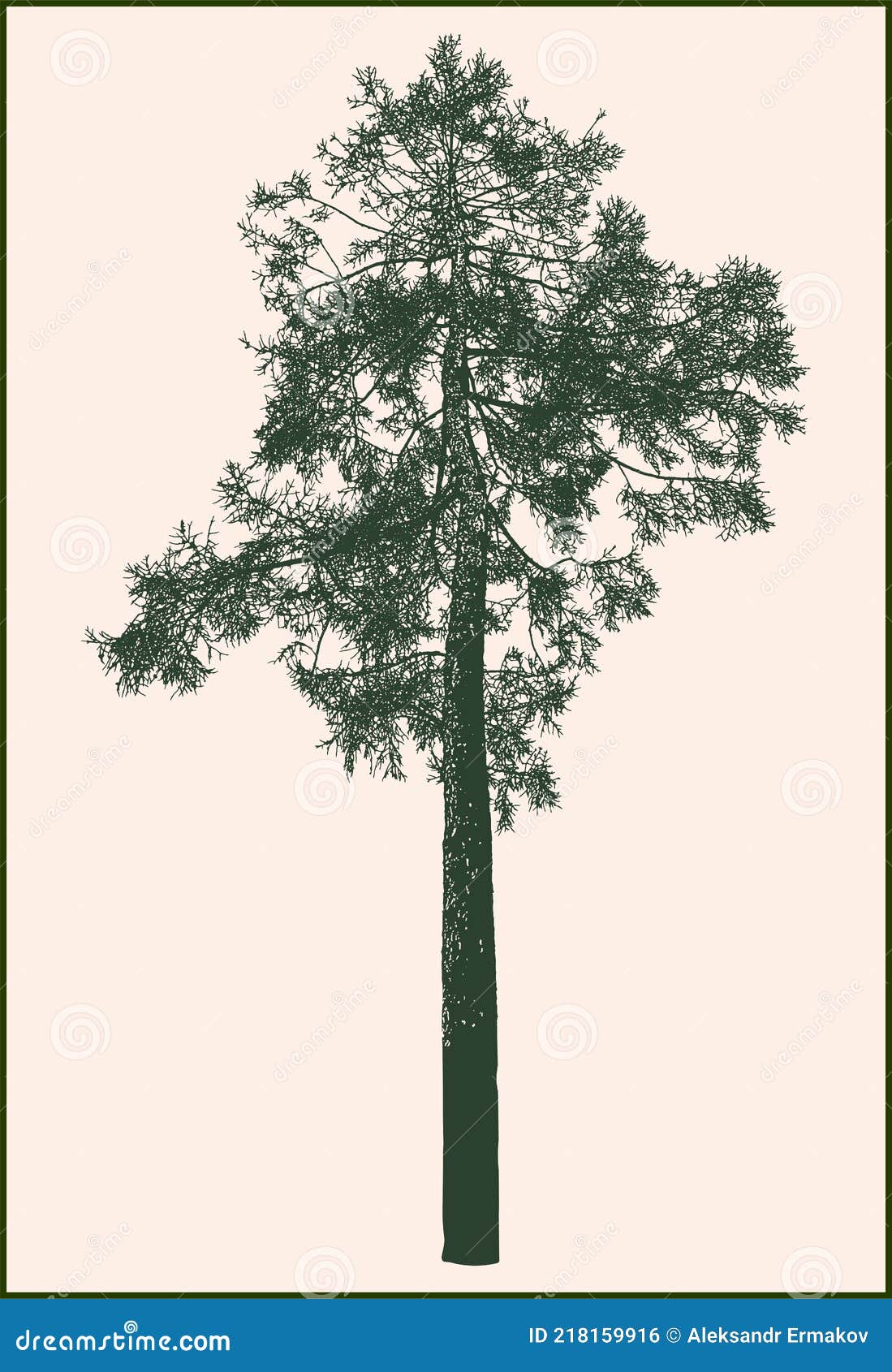 Vector Drawing of Silhouette Single Young Pine Tree Stock Vector ...