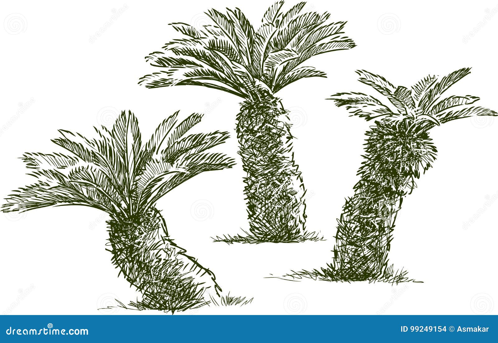 Sketches of the Small Palm Trees Stock Vector - Illustration of ...