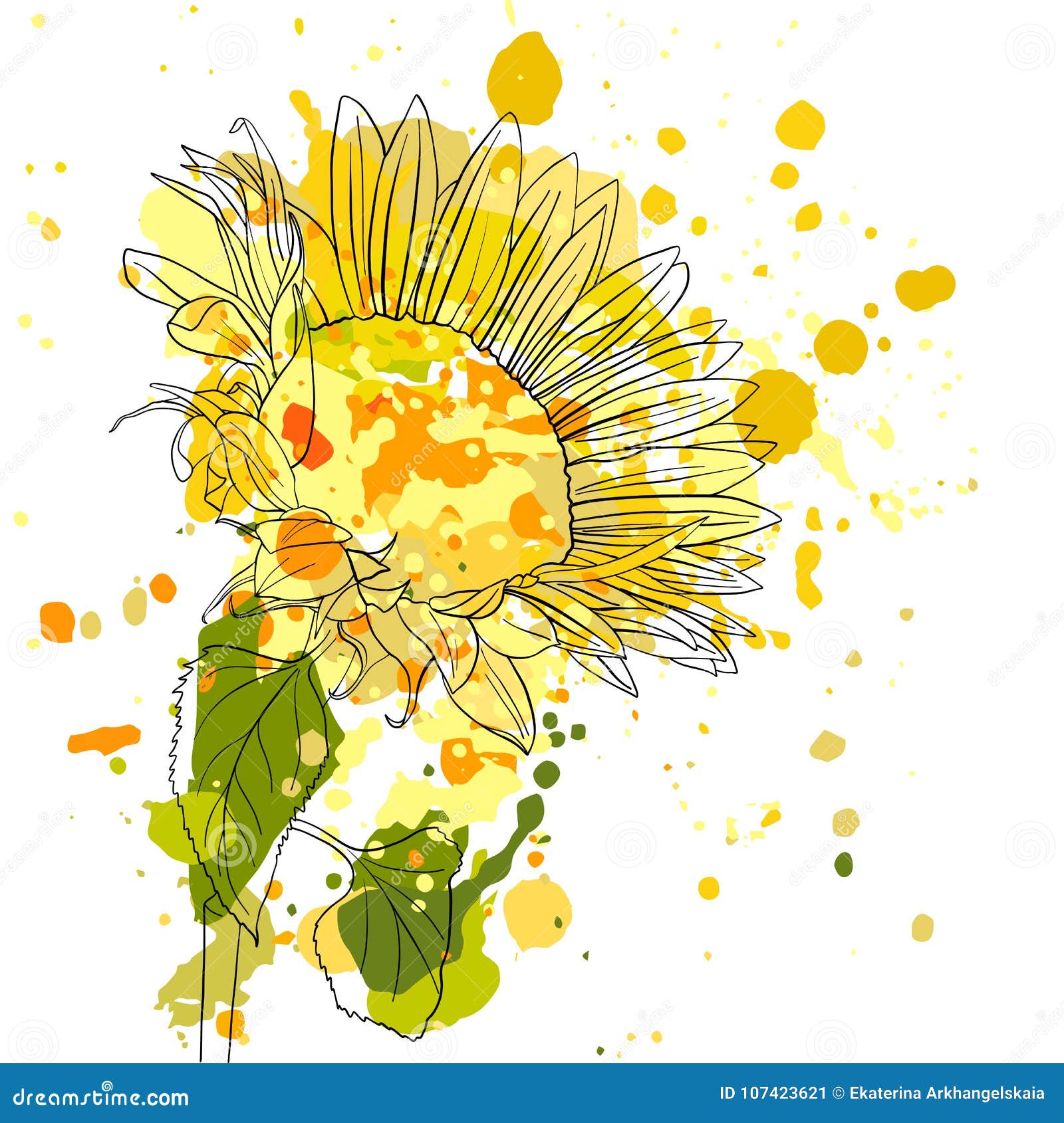 Vector drawing sunflower stock vector. Illustration of natural - 107423621