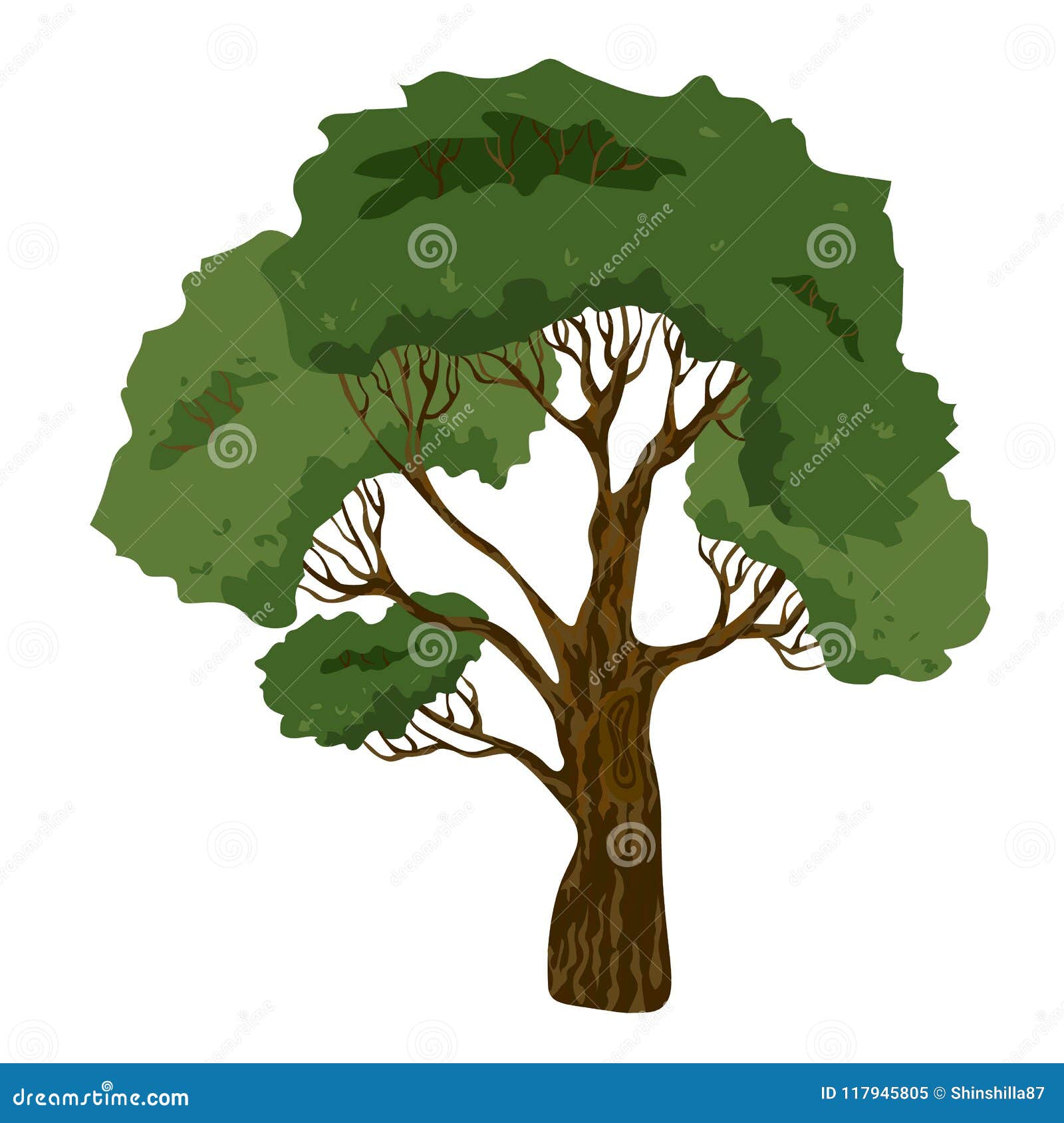 Vector Drawing of a Tree with a Crown and a Trunk. Stock Illustration ...