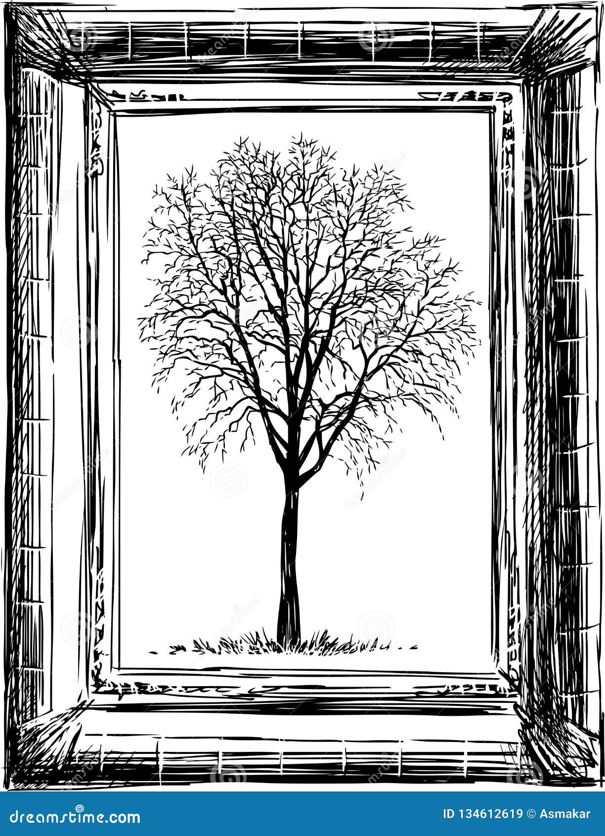 Vector Image of a Tree Sketch in an Old Frame Stock Vector ...