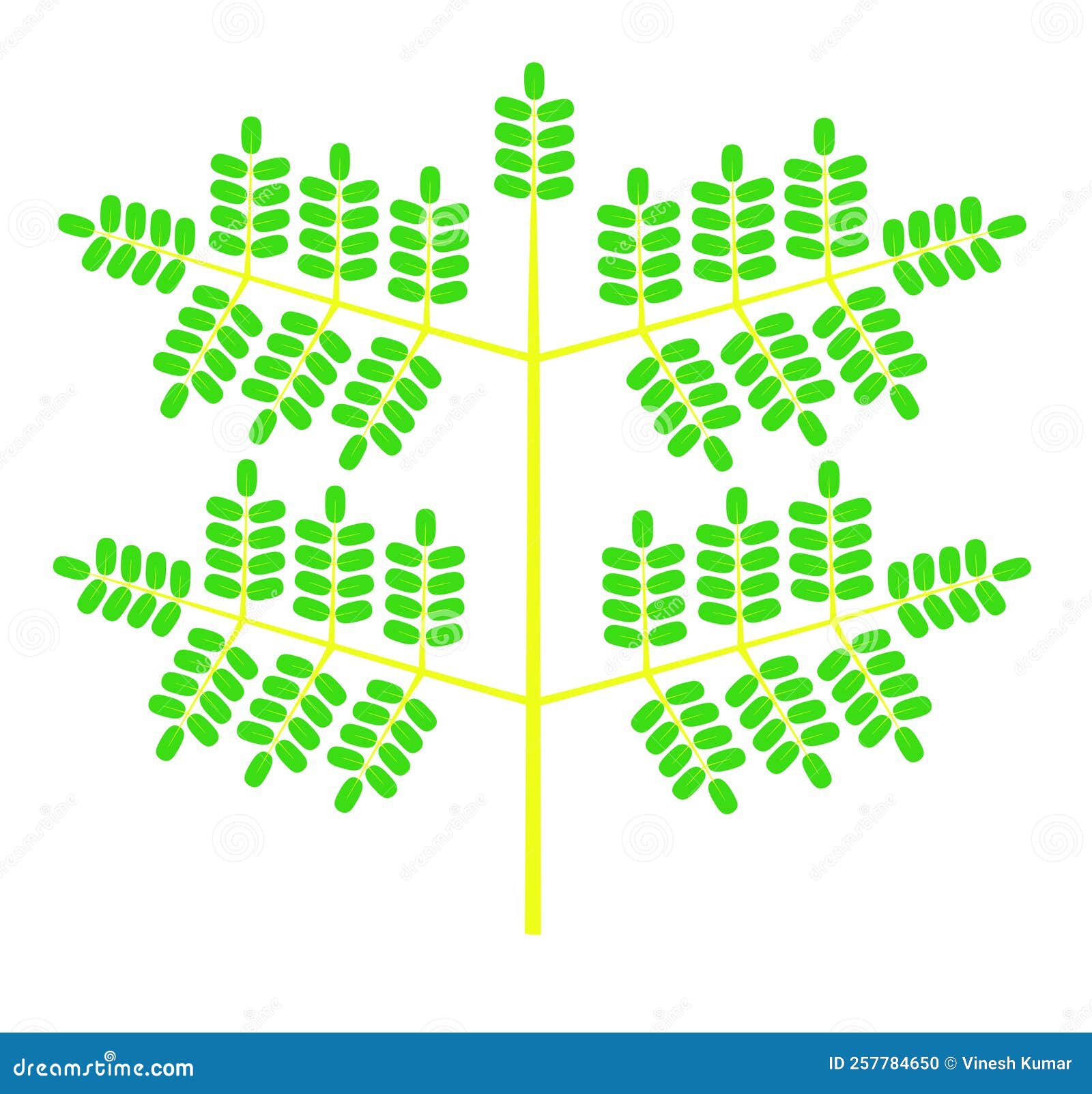 Tripinnate Cartoons, Illustrations & Vector Stock Images - 16 Pictures ...