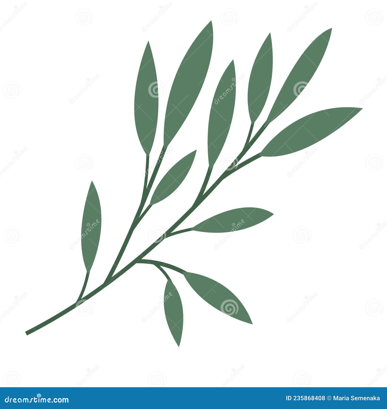 Vector Drawing of Twigs with Leaves Isolated on White Background ...